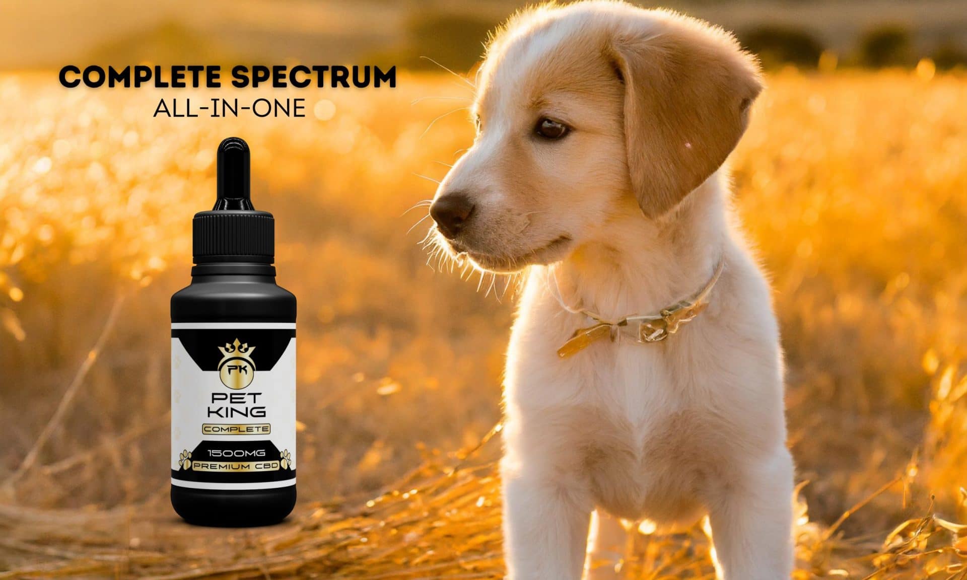 Pet King Complete Spectrum Formula - Pet CBD Canada | Pet King ...
