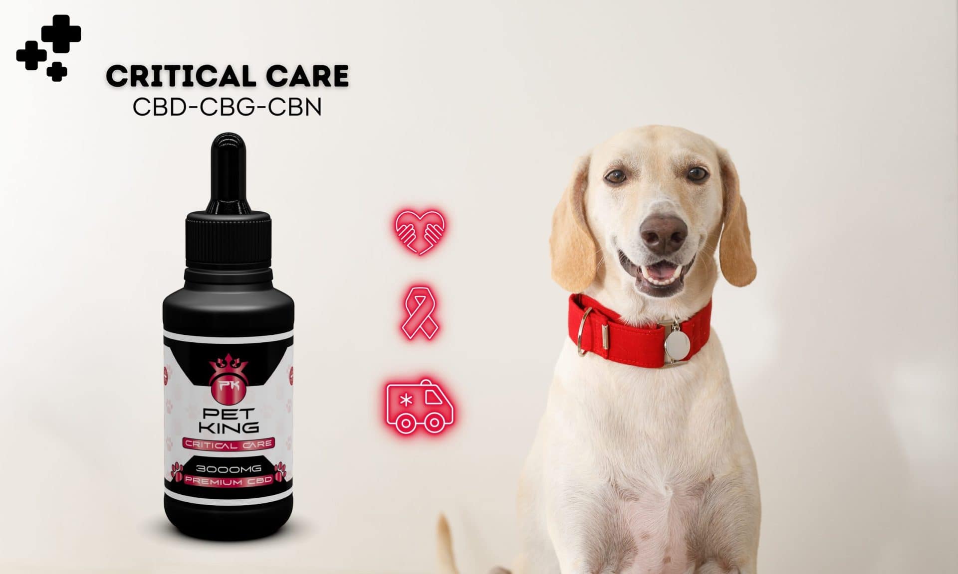 Pet CBD Canada | Pet King | Canada's Best CBD