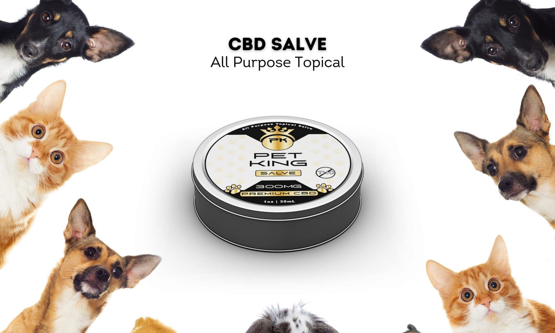 Pet CBD Canada | Pet King | Canada's Best CBD