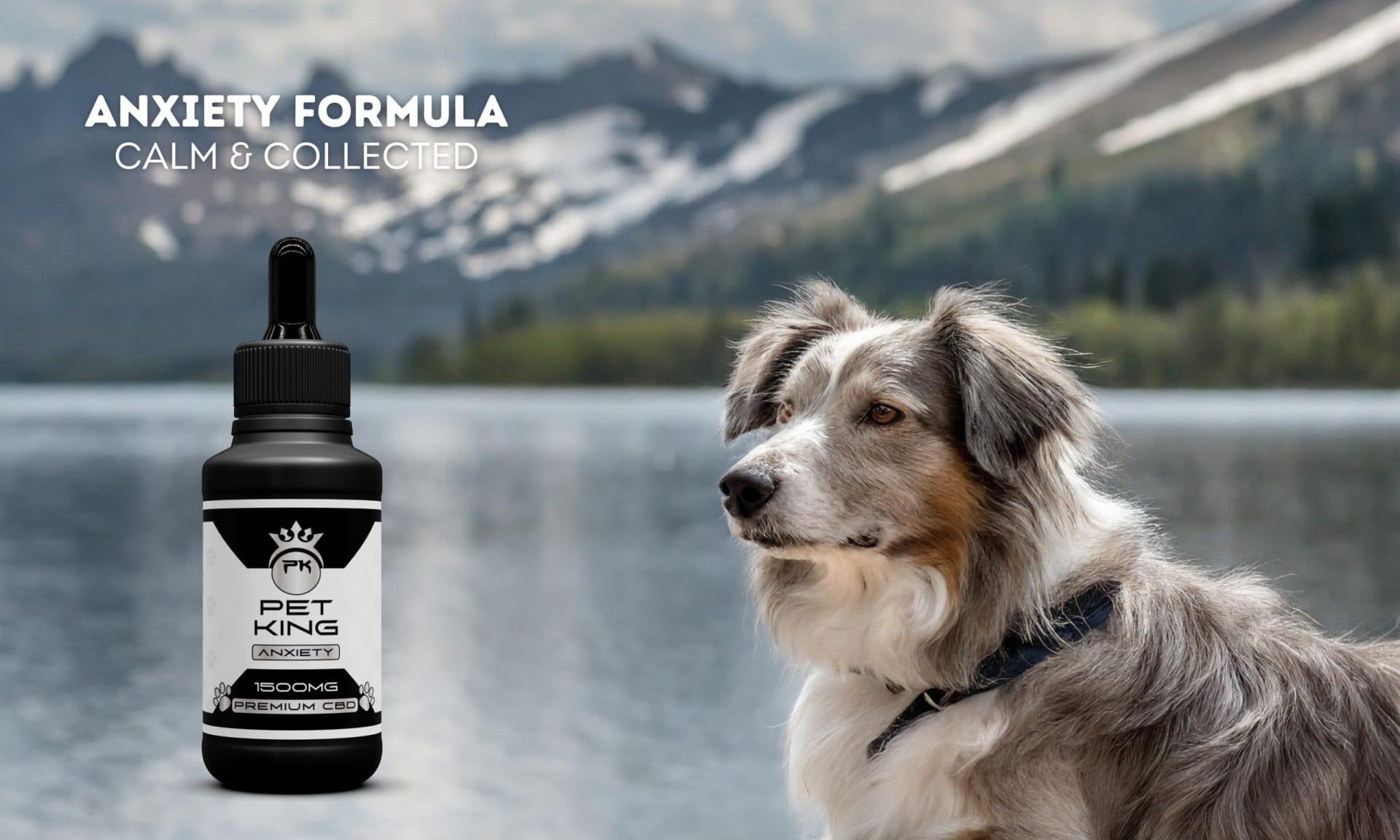 Pet King Anxiety Formula - Pet CBD Canada | Pet King | Premium CBD
