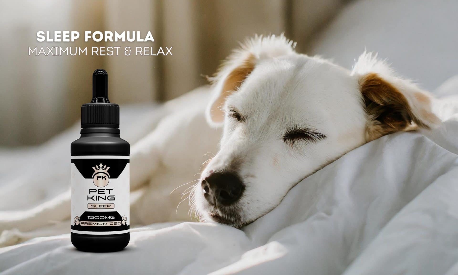 Pet CBD Canada | Pet King | Canada's Best CBD